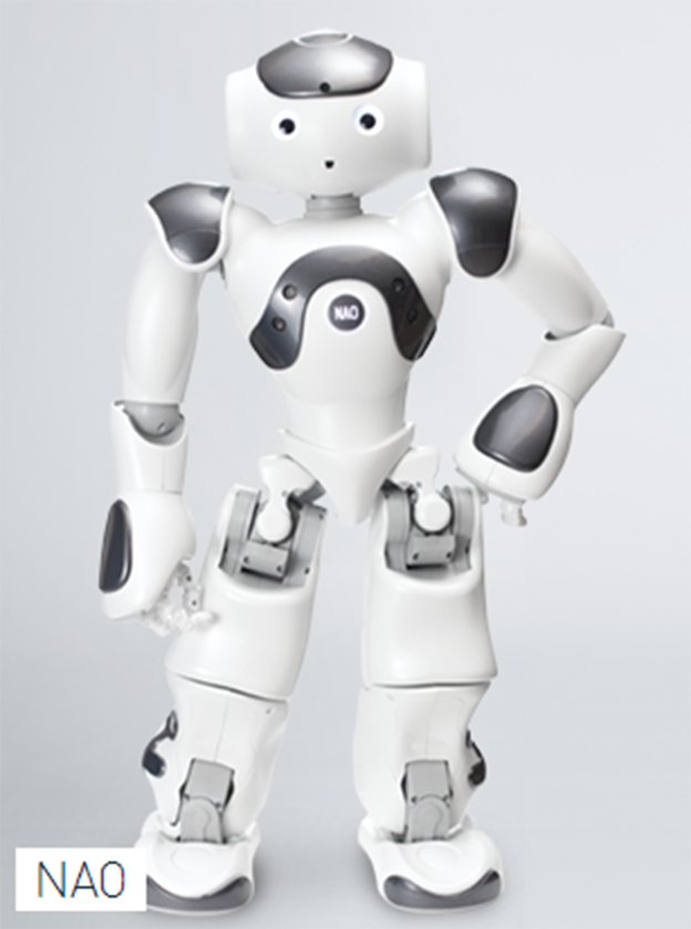 Nao 杭州赫瓦机器人技术开发有限公司
