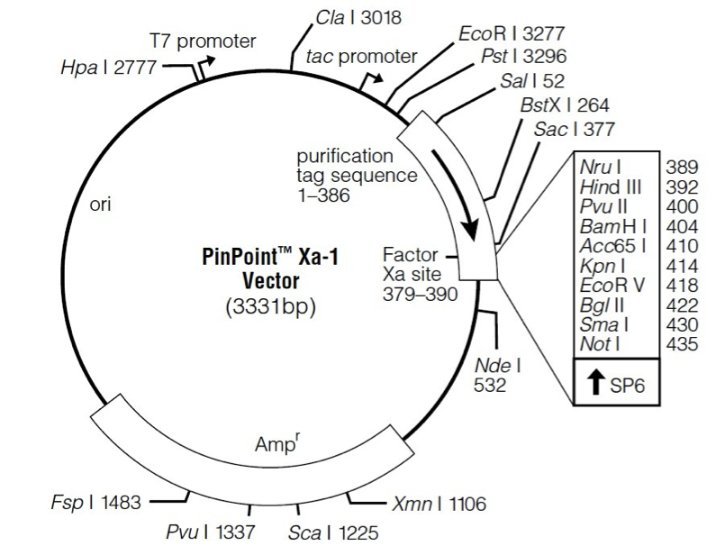 PinPoint Xa-3- 北京华越洋生物