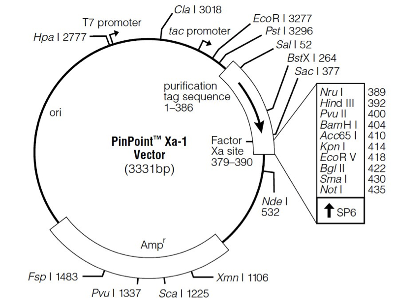 PinPoint Xa-1- 北京华越洋生物