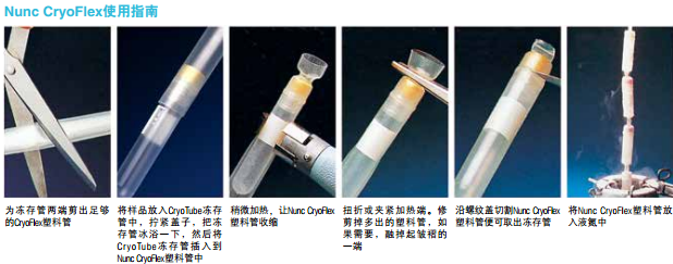 Thermo CryoFlex™冻存管套-企业官网
