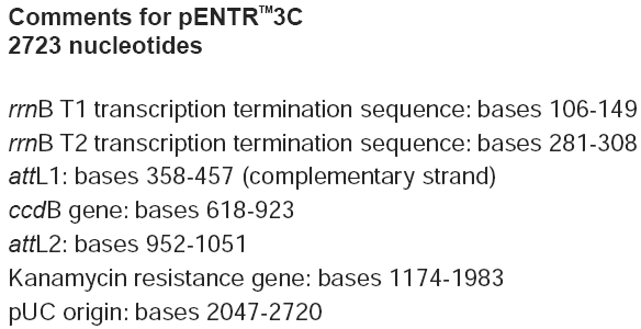 pENTR3C-北京华越洋生物