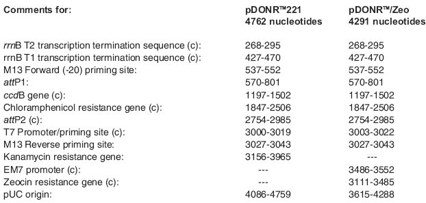 pDONR221-北京华越洋生物