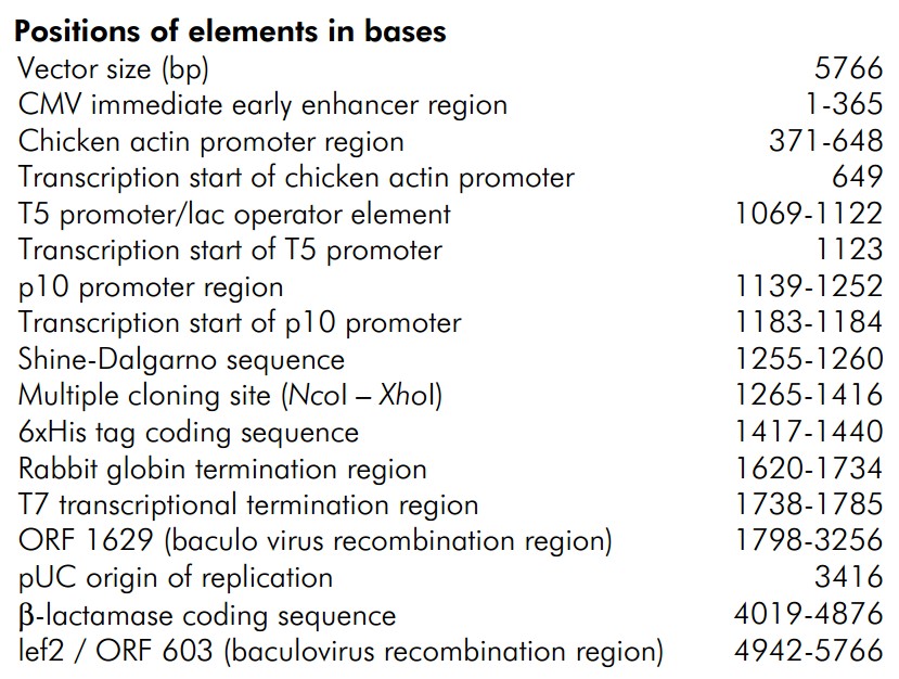 pQE-TriSystem-北京华越洋生物